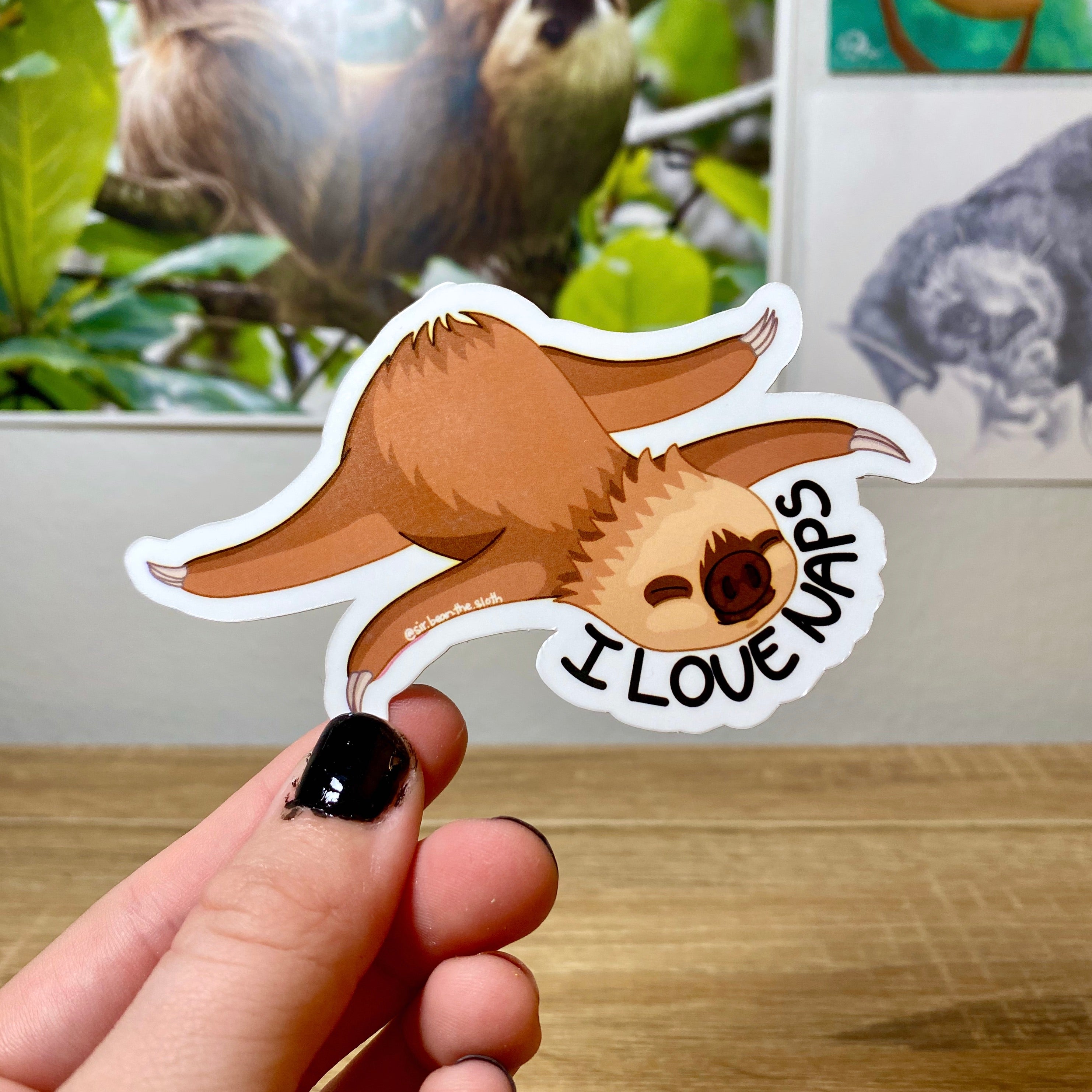 Sir Bean "I Love Naps" Vinyl Sticker – Sir Bean the Sloth